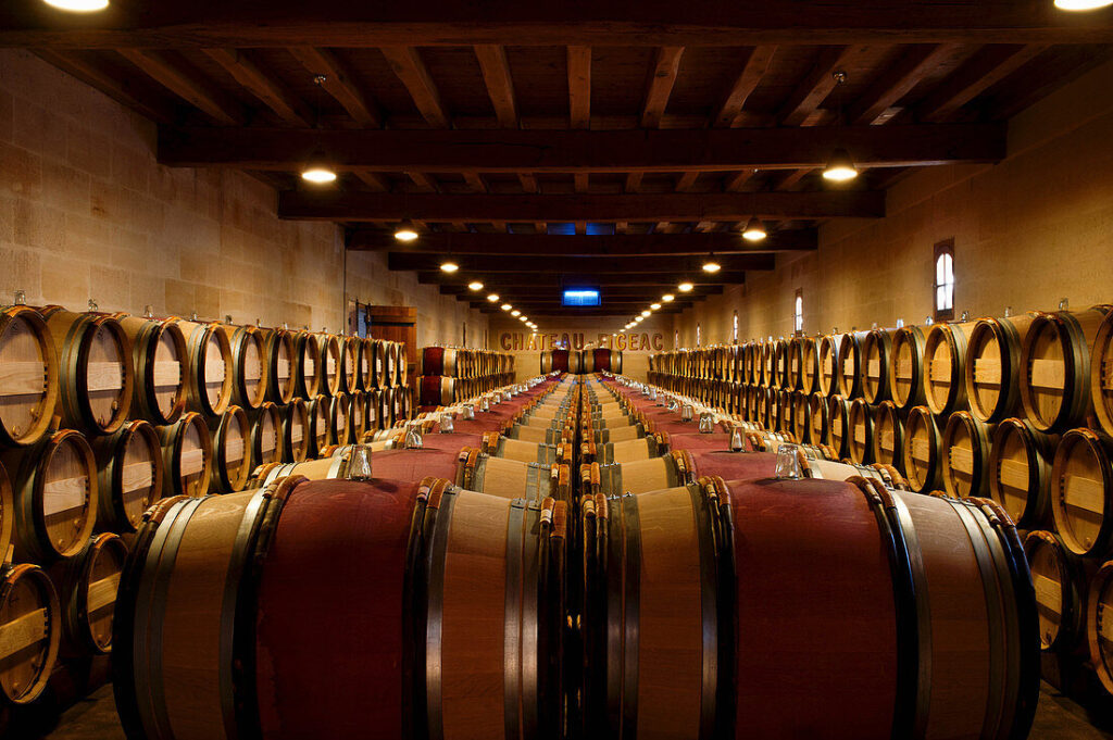 Wine Knowledge & Stories from Vintage Cellar - Vintage Cellar